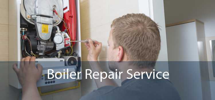 Boiler Repair Service - Electric And Gas Boiler Repair